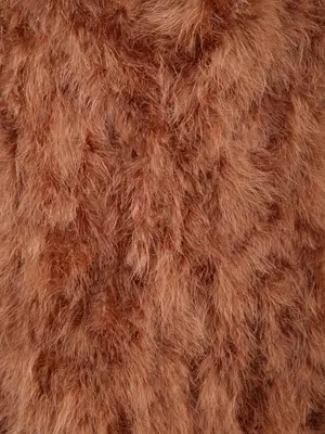 YVES SALOMON Shawl-collar Feather Coat