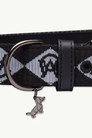 Moncler Monogram-pattern Logo-plaque Dog Collar
