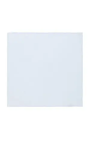 Donni. X The Silk Scarf In Baby Blue - Cloud