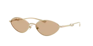 JIMMY CHOO Sunglass Jc4033h Brown