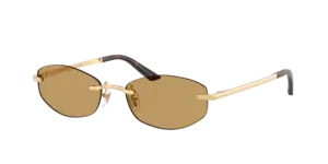 Versace Sunglass Ve2308d - Brown
