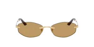 Versace Sunglass Ve2308d - Brown