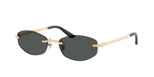 Versace Sunglass Ve2308d Dark Grey