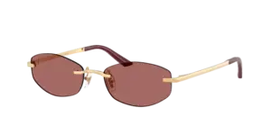 Versace Sunglass Ve2308d Dark Violet
