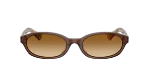 Burberry Sunglass Be4508d - Brown Gradient
