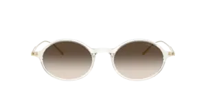 Giorgio Armani Sunglass Ar8263u - Brown Gradient Grey