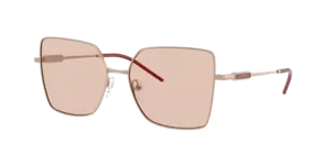 Emporio Armani Sunglass Ea2179 Light Brown