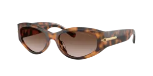 Ralph Lauren Sunglass Rl8243u Gradient Brown