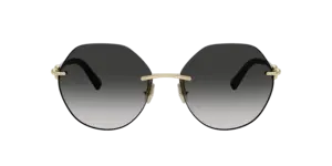 Tiffany & Co. Sunglass Tf3123 - Grey Gradient
