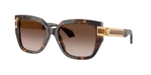 Versace Sunglass Ve4517u - Brown Gradient