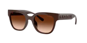 COACH Sunglass Cft88 - Brown Gradient