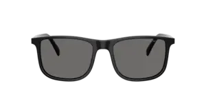 Emporio Armani Sunglass Ea4280 - Grey
