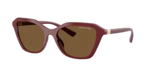 Armani Exchange Sunglass Ax4173su - Brown