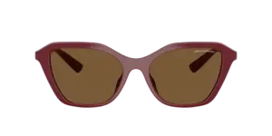 Armani Exchange Sunglass Ax4173su - Brown