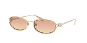 Burberry Sunglass Be3177 Brown Gradient