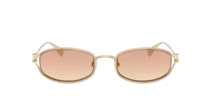 Burberry Sunglass Be3177 - Brown Gradient