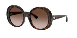 JIMMY CHOO Sunglass Jc6004hu Brown Gradient
