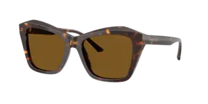 JIMMY CHOO Sunglass Jc5076 Dark Brown Polarized
