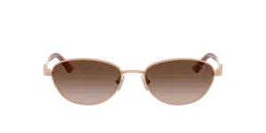 JIMMY CHOO Sunglass Jc4032bd - Brown Gradient