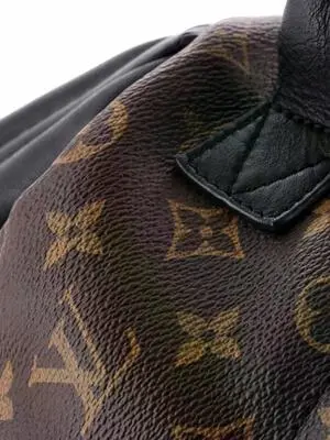 LOUIS VUITTON Palm Springs Monogram Canvas Pm Backpack - Brown