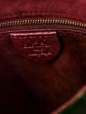 LOUIS VUITTON Gaia Handbag Monogram Canvas With Python And Ostrich Hobo Bag