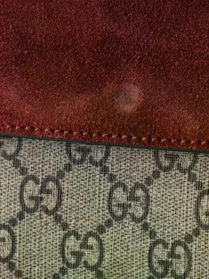 Gucci Dionysus Bag Blooms Print Gg Coated Canvas Small Shoulder Bag