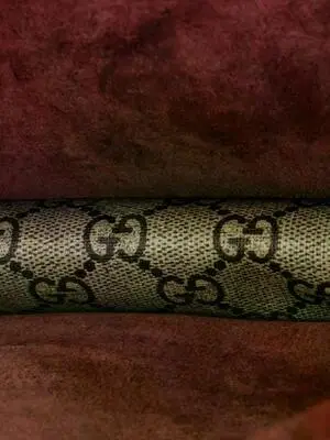 Gucci Dionysus Bag Blooms Print Gg Coated Canvas Small Shoulder Bag