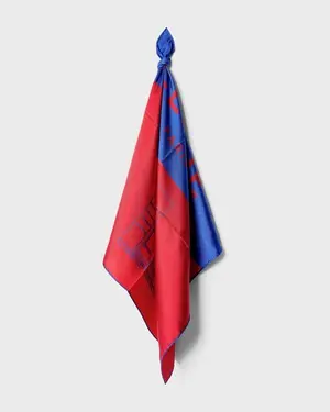 Celine Square Silk Scarf
