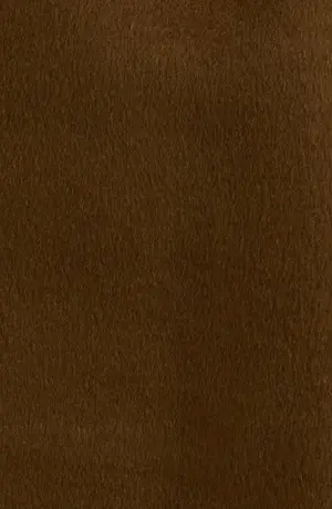 Soia & Kyo Fabianne Wool Blend Coat