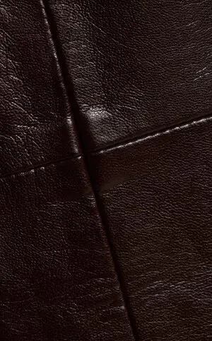 AGOLDE Hikson Recycled Leather Skirt