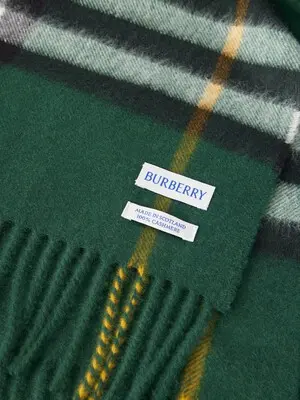 Burberry Giant Fringe-detail Checked Cashmere Scarf - Green
