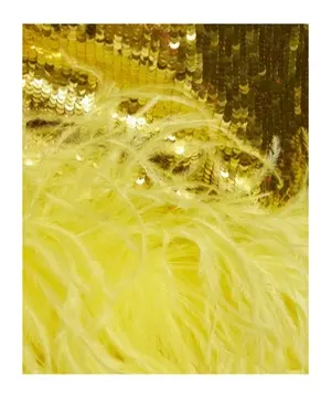 Valentino Garavani Sequined Mini Dress W/ Feathers