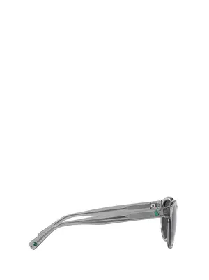 Polo Ralph Lauren Round Frame Sunglasses