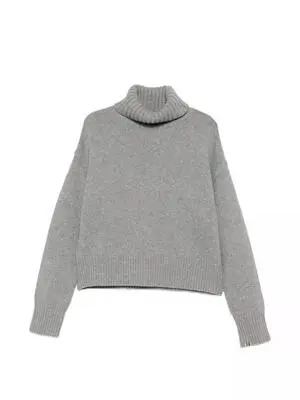 Extreme Cashmere Crop Xtra Roll-neck Sweater