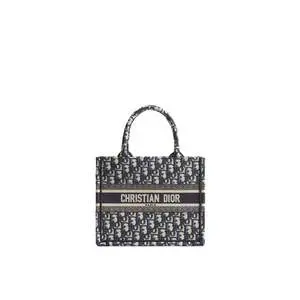 Dior Small Book Tote Bag