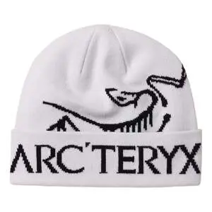 Arc'teryx Bird Word Toque - Orca
