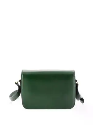 Celine Triomphe Shoulder Bag Smooth Calfskin Medium Crossbody Bag - Green