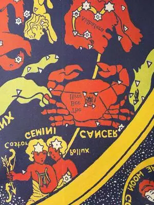 MOTHER It Up Cosmos-print Scarf