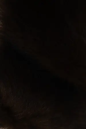 Valentino Garavani Furry Neck Warmer