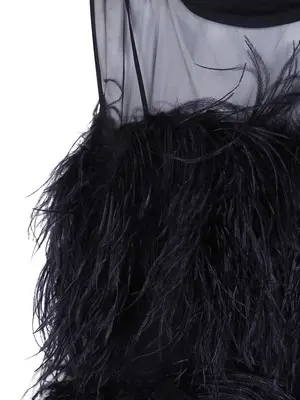 Alberta Ferretti Ethereal Silk Chiffon Feather Gown