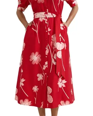 PHASE EIGHT Delphine Lace Collar Belted Dress