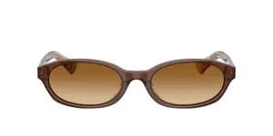 Burberry Be4508d Brown Brown