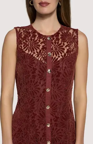 LOST + WANDER Merlot Whisper Floral Lace Minidress
