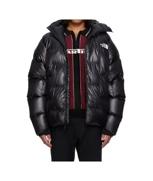 The North Face Summit Series Hooded-padded Jacket