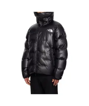 The North Face Summit Series Hooded-padded Jacket