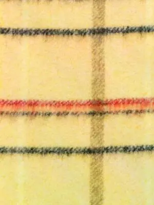 VIVIENNE WESTWOOD Check-pattern Fringed Scarf