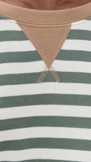 Z Supply Low Key Stripe Sweatshirt - Monstera