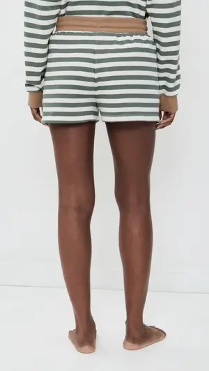 Z Supply Low Key Stripe Shorts