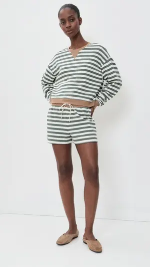 Z Supply Low Key Stripe Shorts