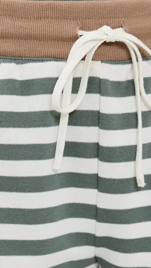 Z Supply Low Key Stripe Shorts